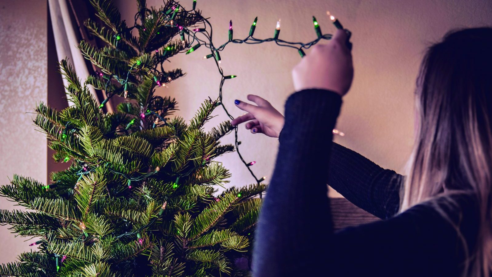 Christbaum-Entsorgung – Marktgemeinde Brunn am Gebirge